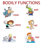 VOCABULARY - Bodily Functions - Welcome to Learn English with Carlo
